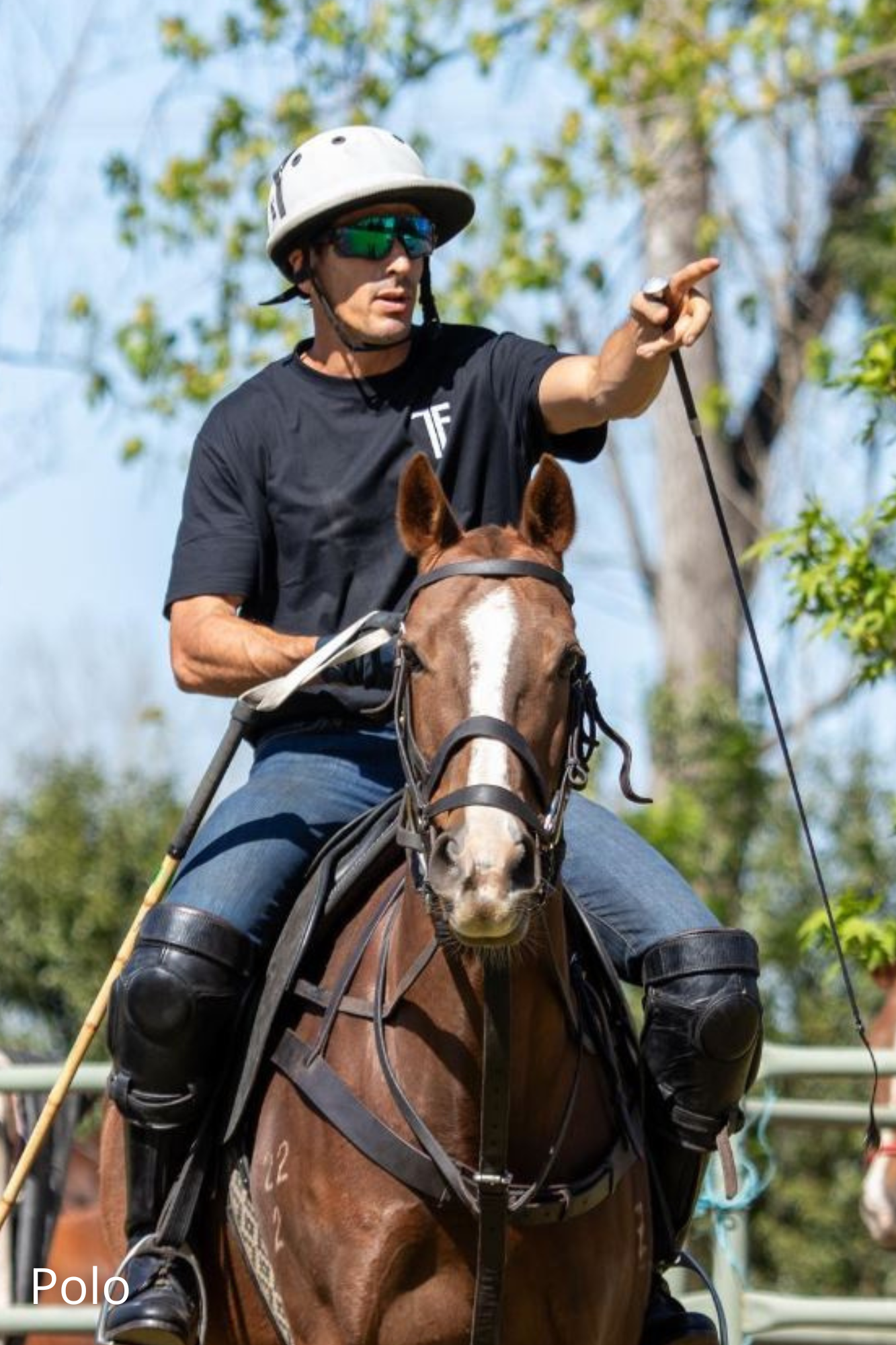 Polo – Syd Hill