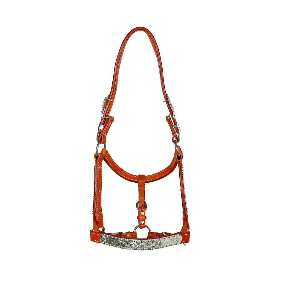 Leather Halter – Syd Hill